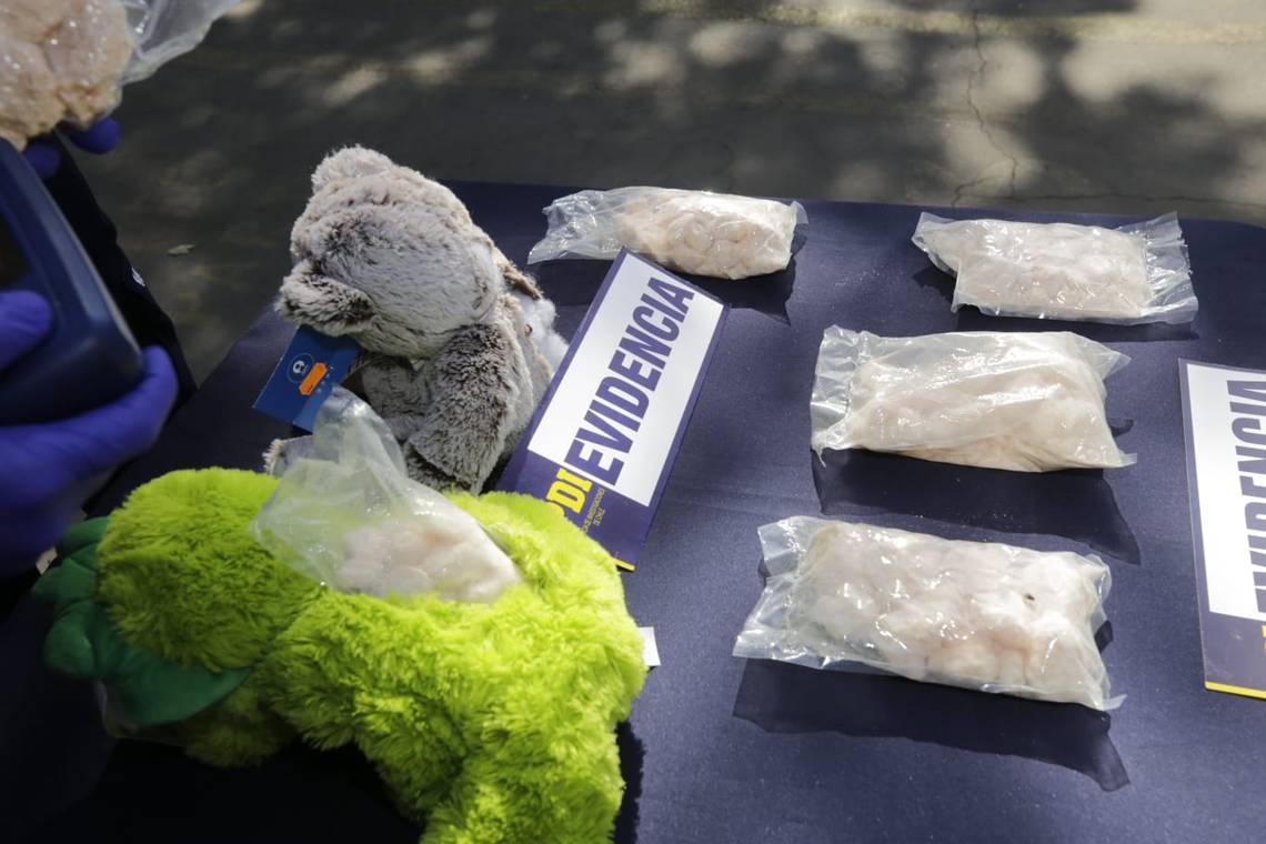 Primera vez ubicada en Chile: PDI confirma incautación de peligrosa ...